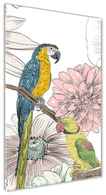 Wallmuralia Vertikální Fotoobraz na skle Papoušci a květiny 50x100