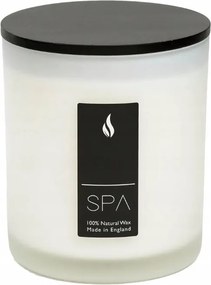 Vonná svíčka sójová Plumeria Parks Candles London
