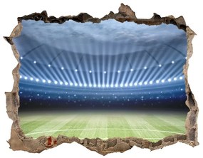Wallmuralia Fototapeta díra na zeď 3D nálepka Stadion 95x64 cm