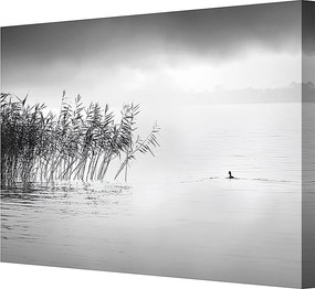 Obraz na plátně By the Lake II