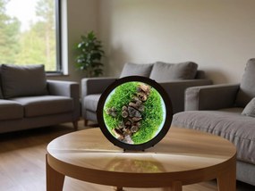 Li-Go "Mechové zátiší" dřevěná lampa/obraz 12V/230V černá s patinou velikost svítidla/hodin: 31 cm
