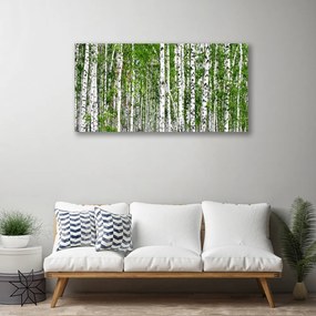 Obraz na plátně Bříza Les Stromy Příroda 125x50 cm