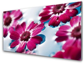 Obraz na skle Květiny na Vodě Příroda 120x60 cm