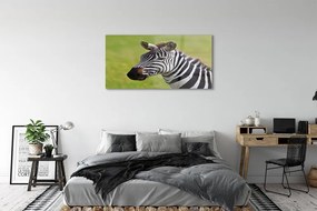 akrylový obraz zebra 125x50 cm