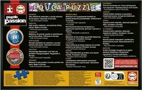 EDUCA Puzzle Dáma s vějířem / 1000 dílků / od 14 let