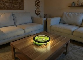 Li-Go "Mechové kopečky s kořeny" dřevěná lampa/obraz s baterií a pohybovým čidlem/černá s patinou velikost svítidla/hodin: 50 cm