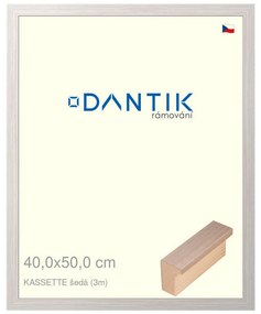 DANTIK rámeček 40x50 | KASSETTE šedá (Plexi Čiré)