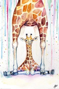 Plakát - Gorgeous Giraffes, Marc Allante