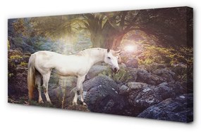 Obrazy na plátně Unicorn v lese 120x60 cm