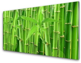 Obraz na skle Bambus Stonek Květ Rostlina 140x70 cm