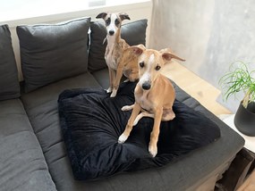 Měkký polštář pro psa/kočku ROYAL PET 75x60 cm, černý