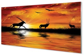 akrylový obraz Ptáci jezero západ 125x50 cm