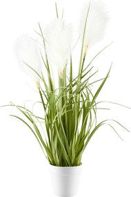 XXXLutz DEKORAČNÍ TRÁVA 53 cm Ambia Home - Dekorační tráva - 0039530053