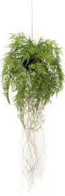 Emerald Umělá závěsná kapradina s kořeny 35 cm [428478]