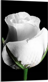 Skleněná Krájecí Deska 30x52 Růže Do Kuchyně