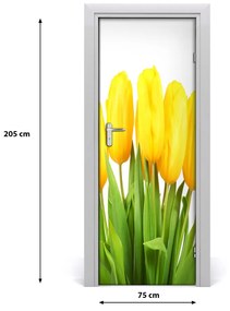 Fototapeta samolepící Žluté tulipány 75x205 cm