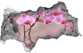 Wallmuralia Samolepící díra na stěnu Růžová orchidej 95x73 cm