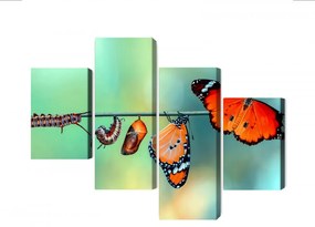 Vícedílný obraz Barevné Housenky A Motýli V Makro Měřítku Nedostatek Nedostatek Přírodní plátno 160x100