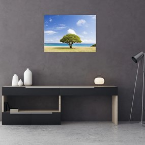 Skleněný obraz pláže se stromem (70x50 cm)