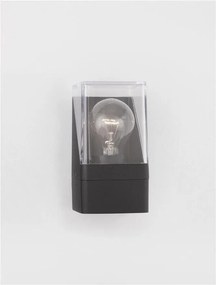NV 9492740 Venkovní nástěnné svítidlo SELENA antracitový hliník a čirý akryl E27 1x12W 220-240V bez žárovky IP65 - NOVA LUCE