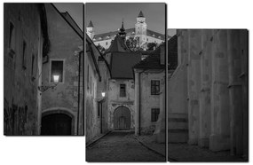 Obraz na plátně - Bratislava staré město s hradem vzadu 1265QD (90x60 cm)
