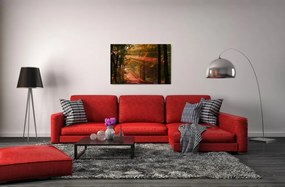 Malvis ® Obraz - Podzimní les Velikost: 90x60 cm