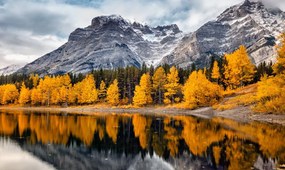 Vícedílný obraz Národní Park Banff V Kanadě Nedostatek Nedostatek Přírodní plátno 250x150