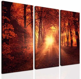 Malvis ® Obraz oranžový les Velikost: 90x70 cm