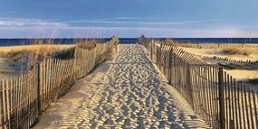 Obraz na plátně - Josef Sohm, Pathway to Beach