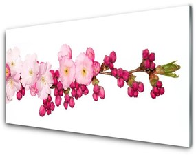 Obraz na skle Květ Větev 125x50 cm