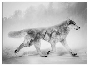 Obraz Styler Canvas Nordic Wolf, 75 x 100 cm