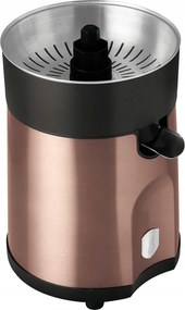 Odšťavňovač 85 W BerlingerHaus BH-9588 Black Rose