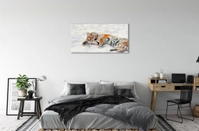 akrylový obraz Tiger winter 100x50 cm