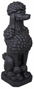 CANICHE POODLE GATEKEEPER BLACK