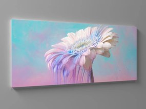 XXL obraz růžovomodrá gerbera Rozměr: 200 x 100 cm