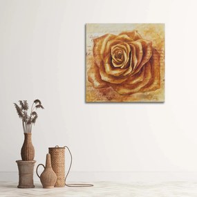 Gario Obraz na plátně Oranžová růže hlava Rozměry: 30 x 30 cm