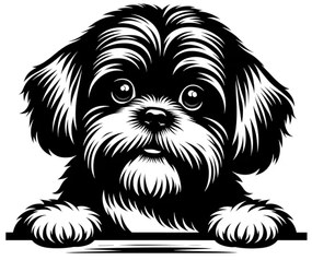 Samolepka pes Shih-tzu