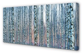 Obrazy na plátně Březového lesa při západu slunce 120x60 cm