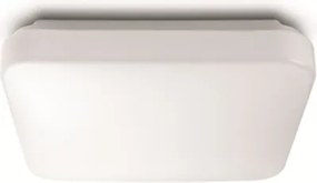 LED nástěnné a stropní svítidlo Philips Mauve neutrální bílá 31110/31/P3