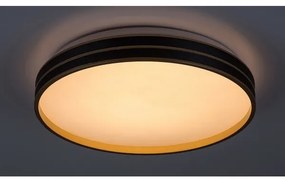 Rabalux 71141 - LED Stmívatelné stropní svítidlo GANDOR LED/24W/230V 3000-6500K