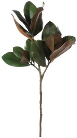 Listy magnolie, 80 cm