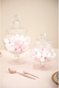 Skleněná dóza na sušenky Olivia – Premier Housewares