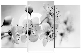 Obraz na plátně - Malé květy na větvi 1173QC (150x100 cm)