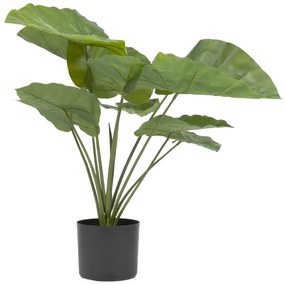 OnaDnes -20% Umělá květina Kave Home Alocasia 57 cm