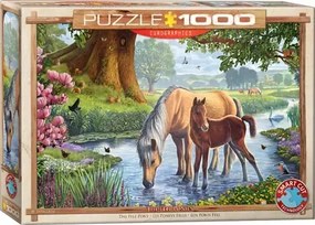 EUROGRAPHICS Puzzle Fellští poníci / 1000 dílků / 67,63 x 48,89 cm