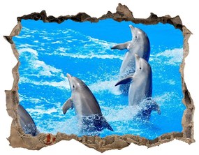 Wallmuralia Díra 3D fototapeta na stěnu nálepka Delfíni 95x64 cm