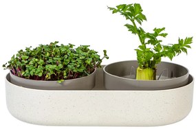 Velká farma - Klíčící miska Microgreens+Regrow, slonová kost s kávovou sedlinou