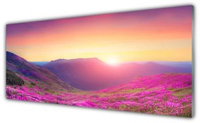 Plexisklo-obraz Slunce Hory Louka Příroda 125x50 cm