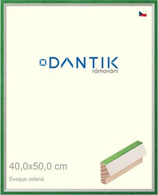 DANTIK rámeček 40x50 | EVOQUE zelená (Plexi Čiré)