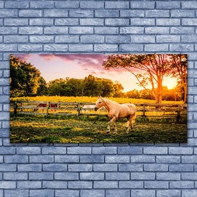 akrylový obraz Kůň Louka Zvířata 120x60 cm